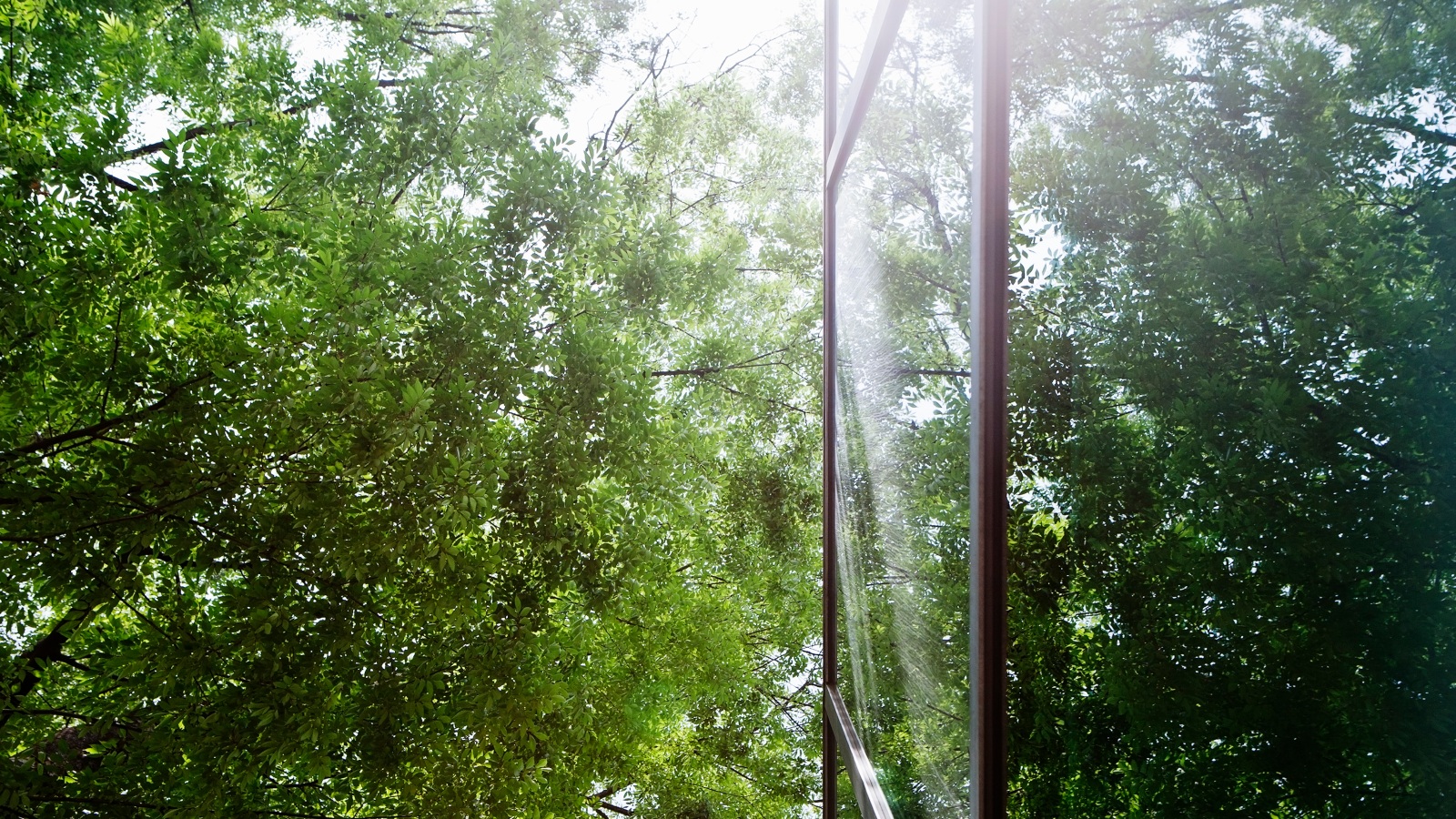 The FSOC weighs in on climate risk | Let's talk financial services