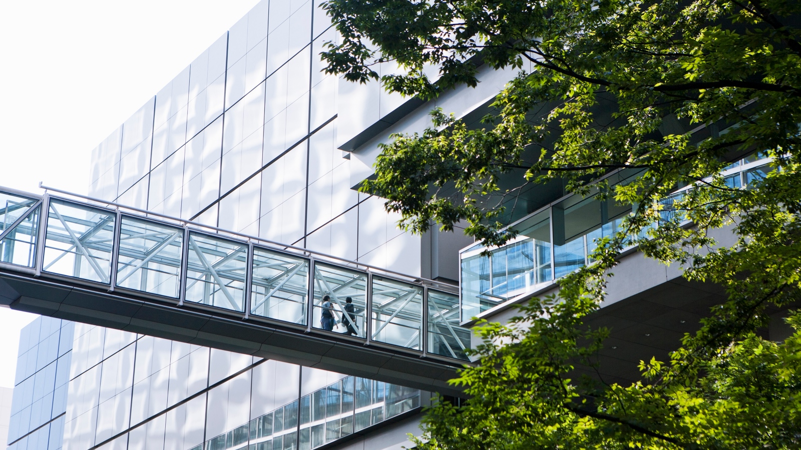 Why ESG-linked features impact financial assets classification under ...