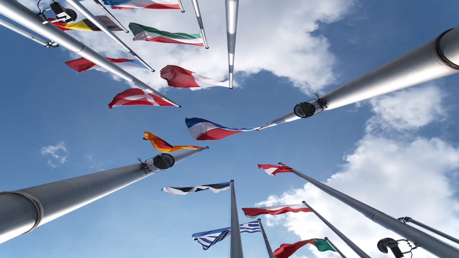 Navigating complexity with confidence